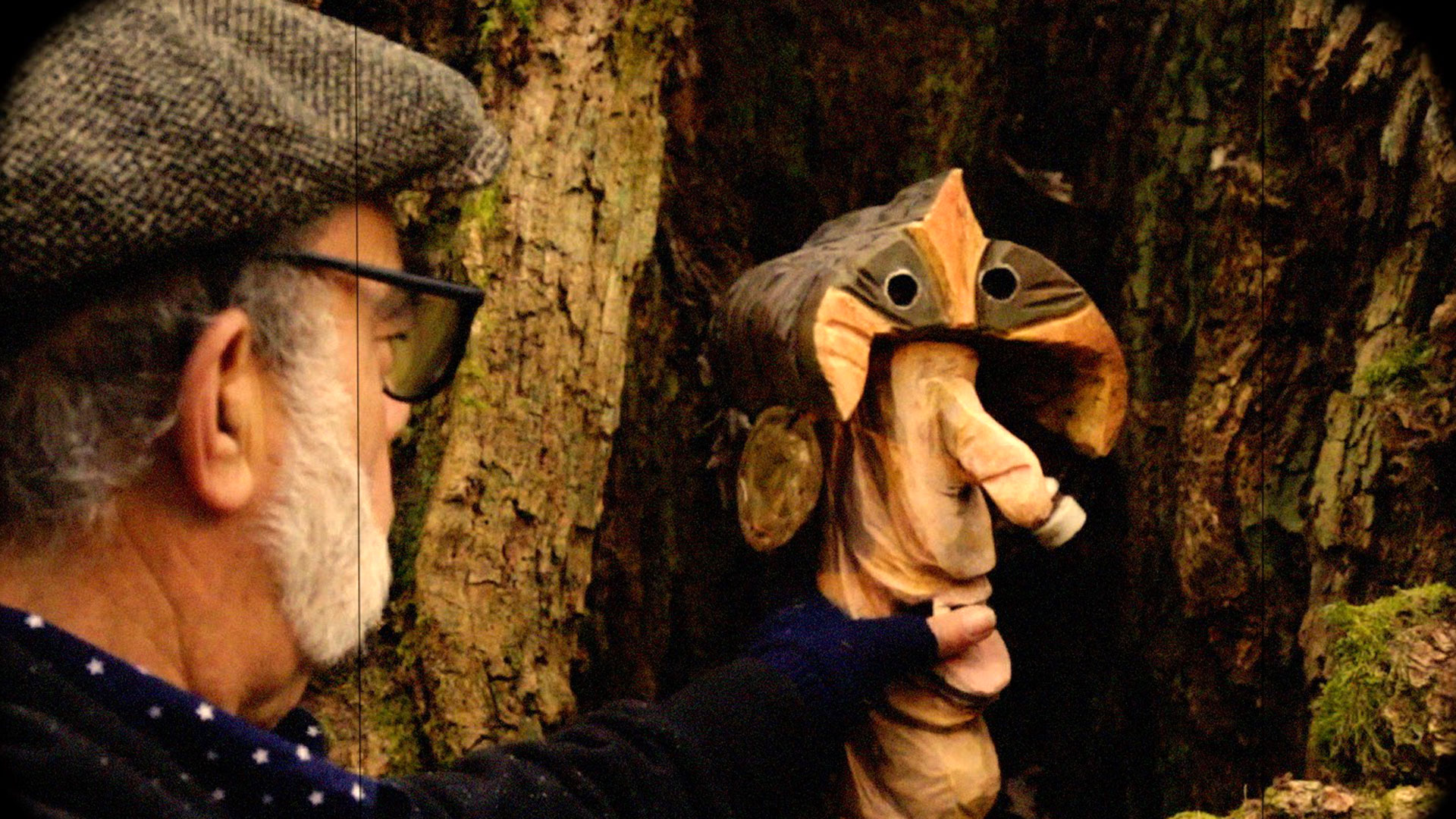 Jean-François Veillard, Le petit Peuple des bois / Nos films / TGA ...